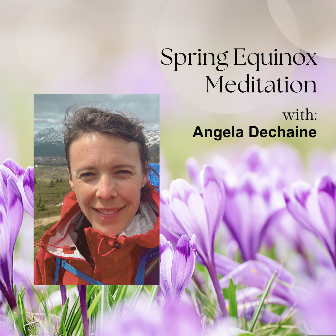 MC LMS - Course list